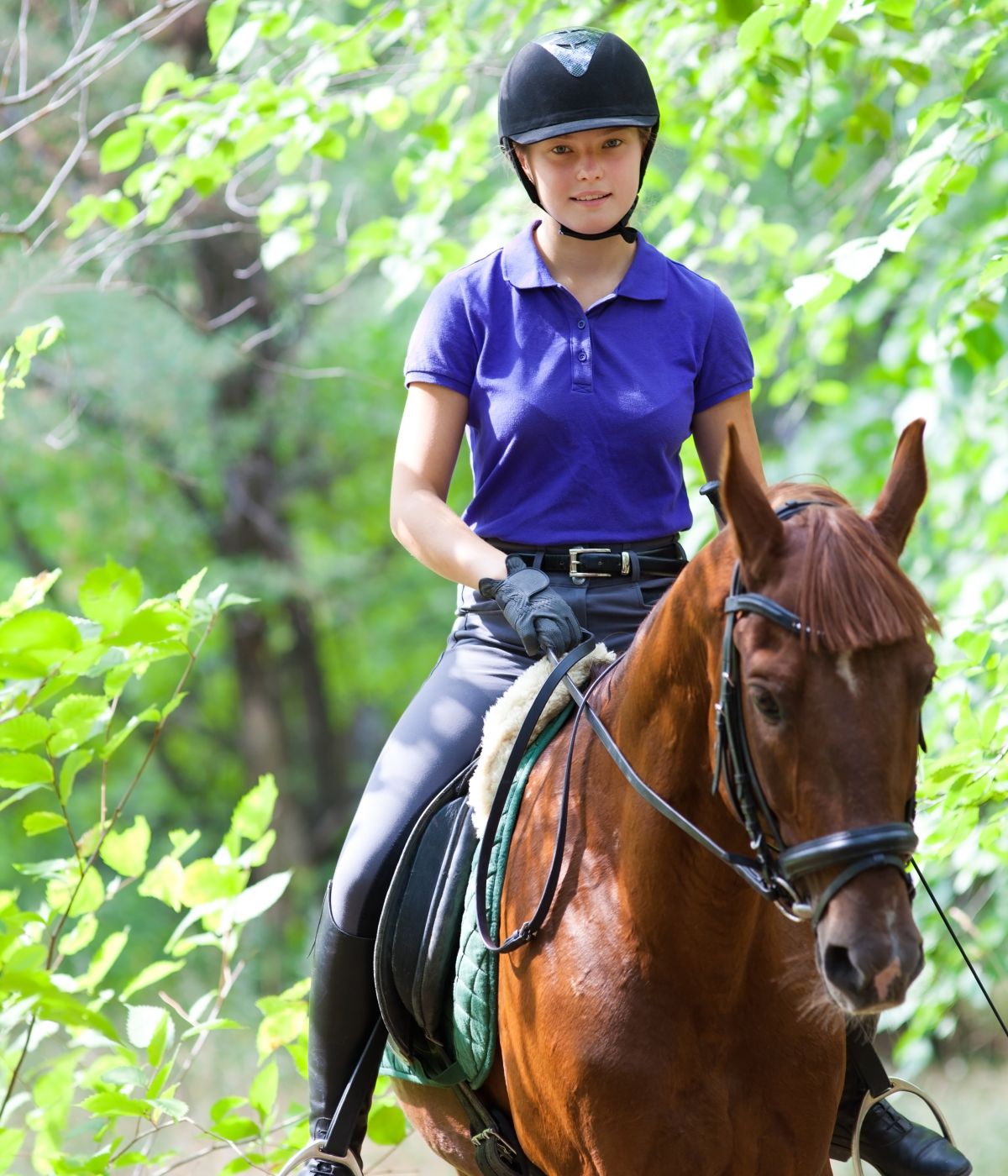 Lessons – Divoky Riding School